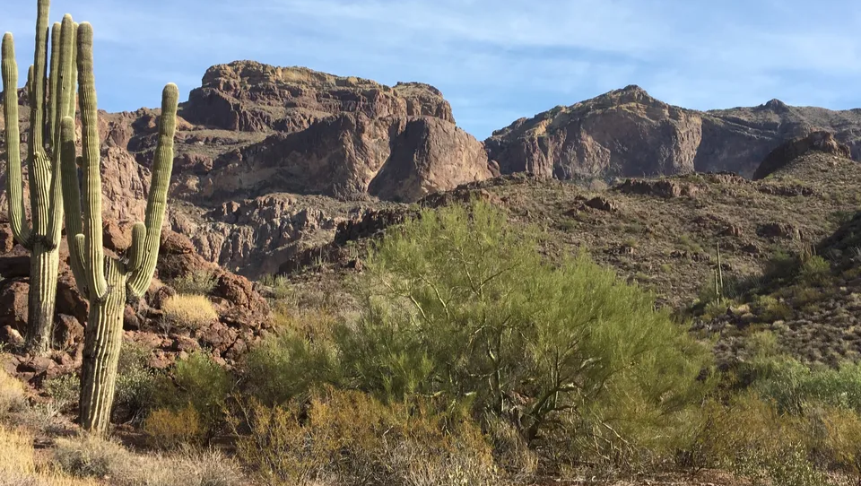 Fundraiser for Mimi Phillips by Marge Hayes : Let's help Mimi!