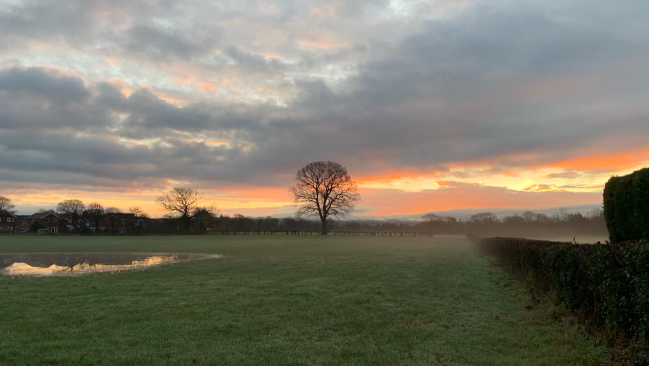 Fundraiser by Angela Burgess : Save Hall Moss Fields