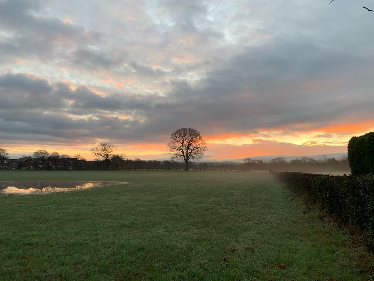 Fundraiser by Angela Burgess : Save Hall Moss Fields