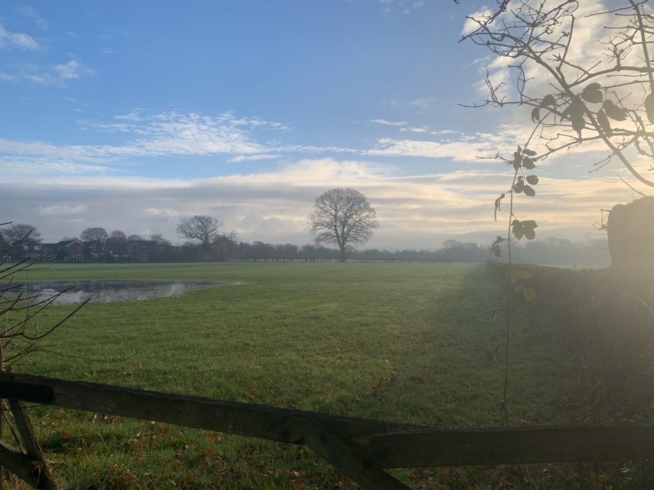 Fundraiser by Angela Burgess : Save Hall Moss Fields