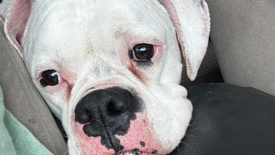 Fundraiser for Darby Morris by Amanda Travers : In Loving Memory of ...