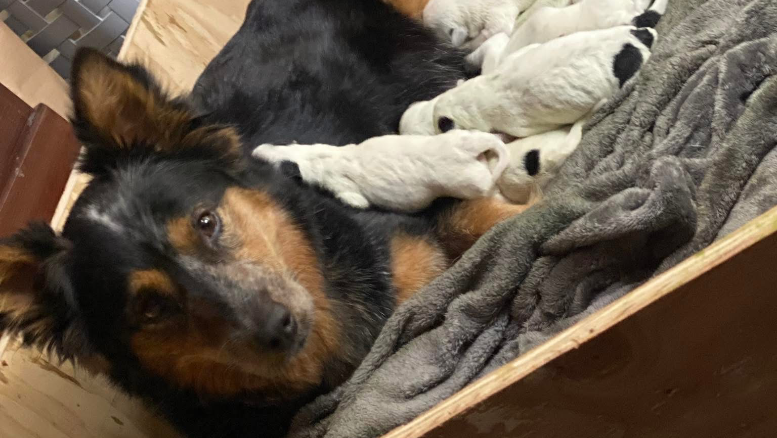 Fundraiser for Makayla Carter by Mikela Ryan : Support for Makayla and ...