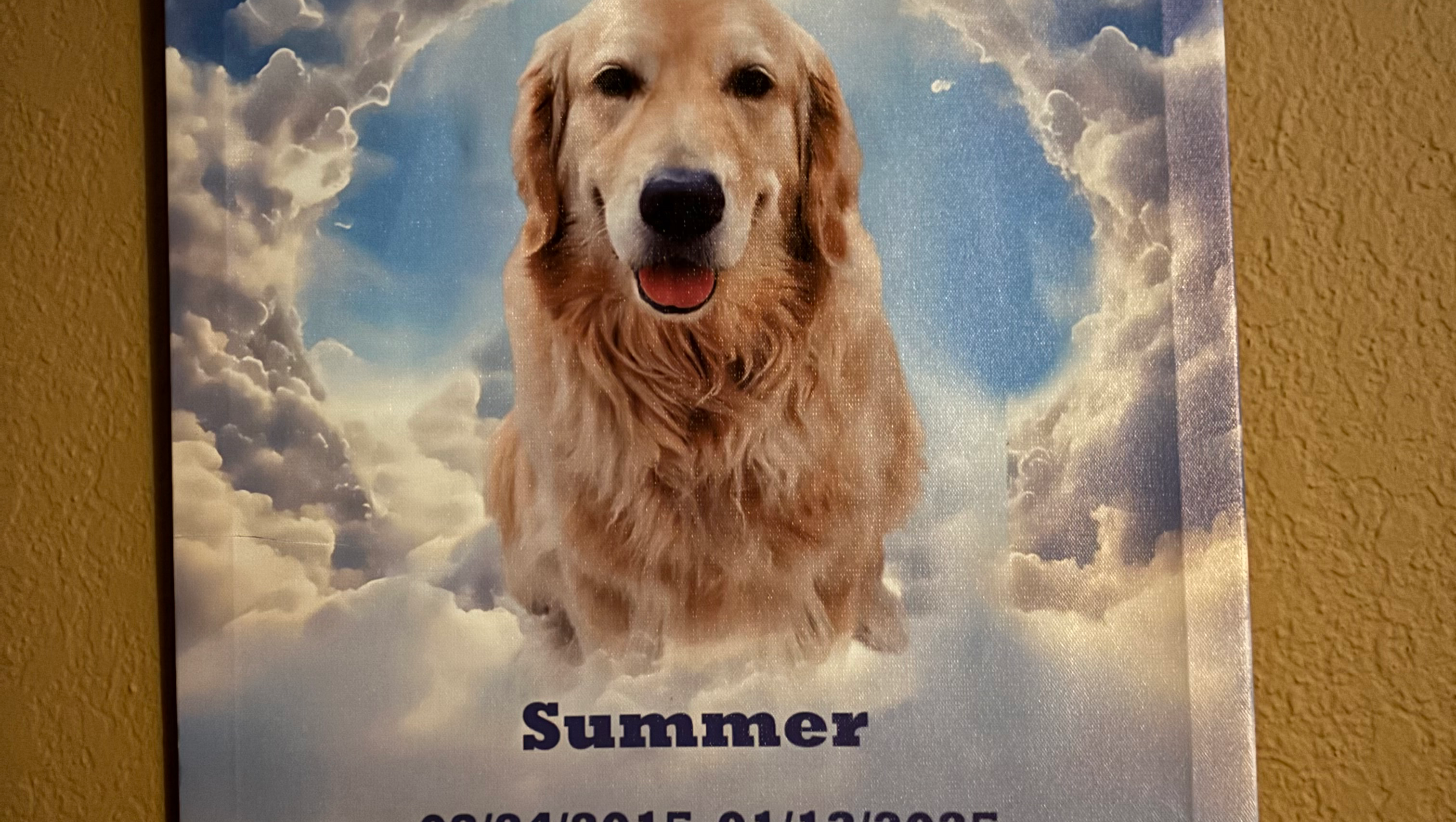 Fundraiser by Nancy Keene : Help Heal a Heart: Support for a New Puppy