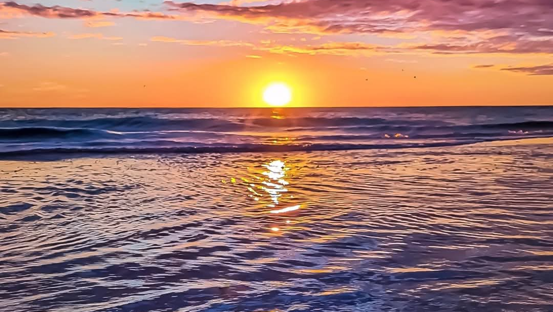 Fundraiser by Brenda Partee : Help with Major Surgery