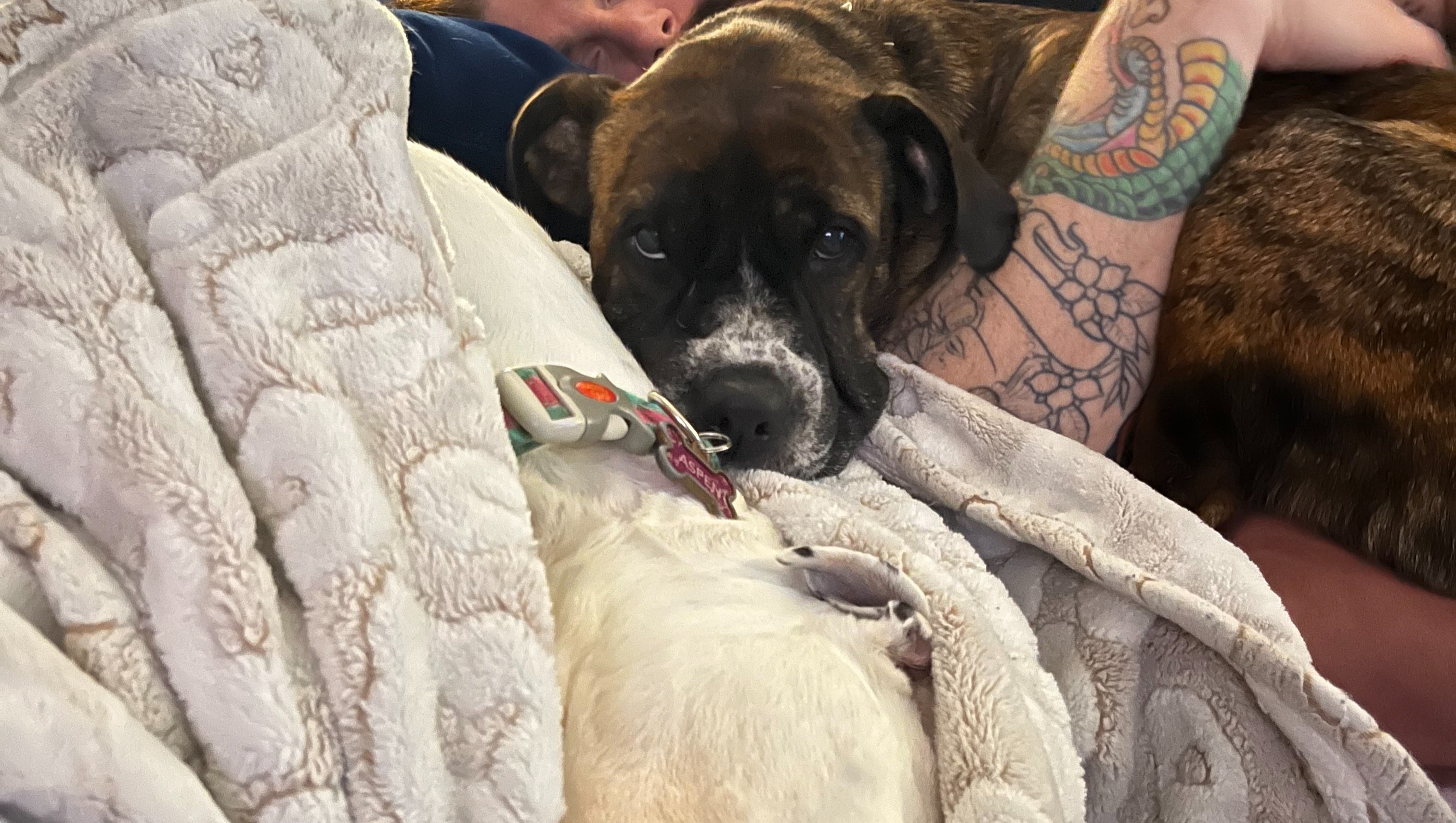 Fundraiser for Aly Henderson by Jeremy Lyne : Support Aly and Gunnar ...