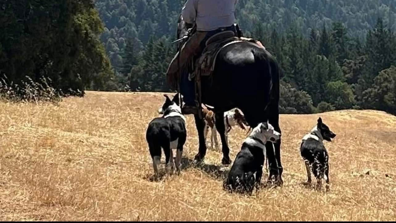 Fundraiser by Dianne Steele : Stand with Beeson Family After Loss