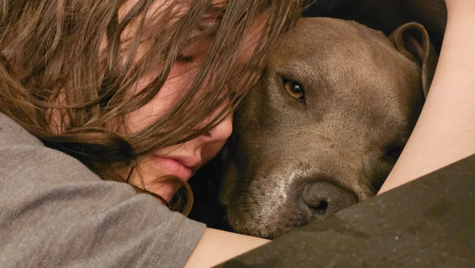 Fundraiser by Tracey Hodges : UPDATE... Kitty's medications are done ...