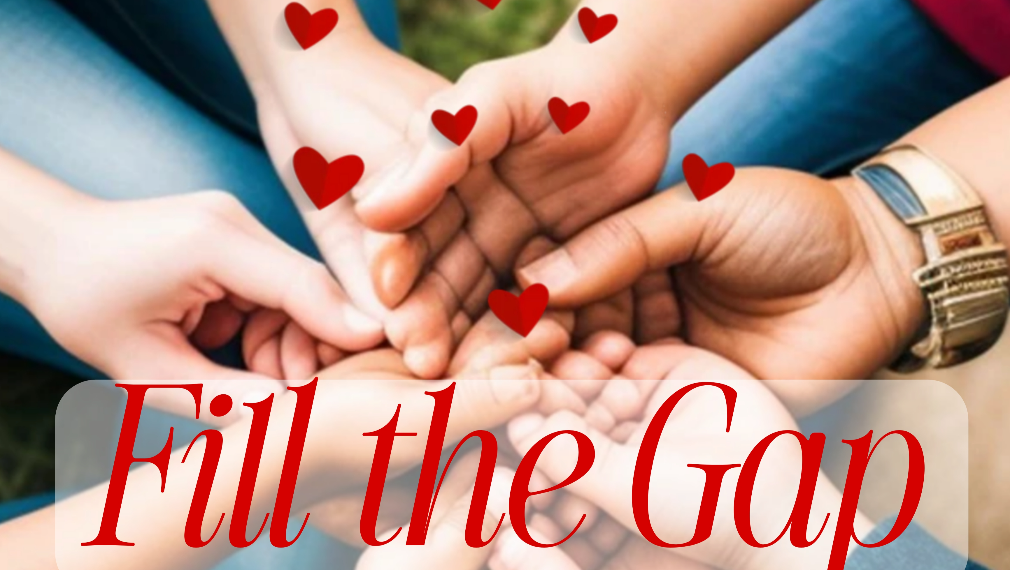 Fundraiser for Lachlan Raine Hicks-Alva by Joy Anderson : Fill the Gap