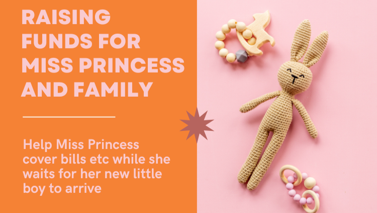 Fundraiser for Princess Sayles by Stephanie Wernberg : Support Ms ...