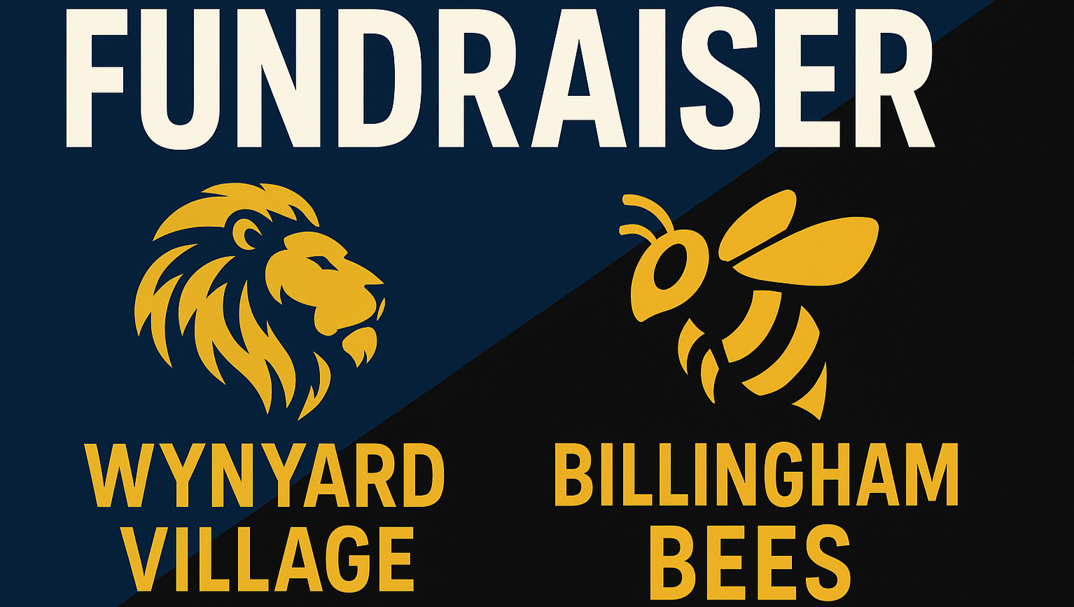 Fundraiser by Andrew Jennings : Support Billingham Bees & Wynyard ...