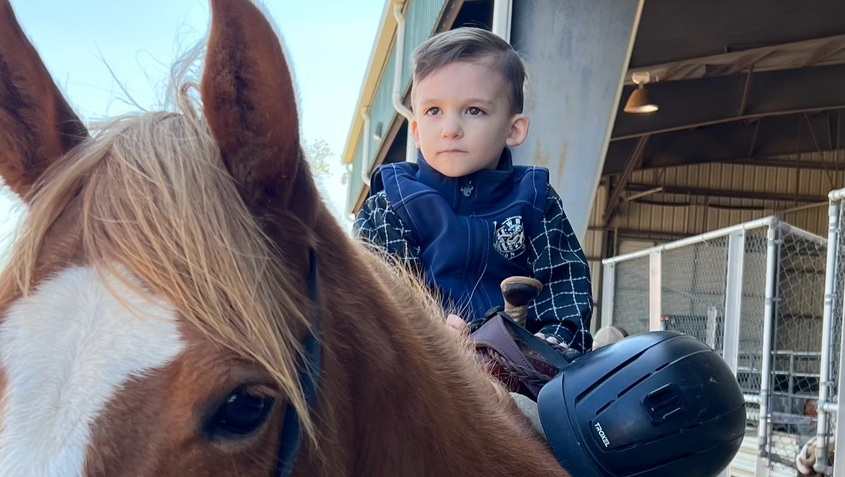 Fundraiser by Ariana Galisatus : Please Join Us in Prayer and Healing ...