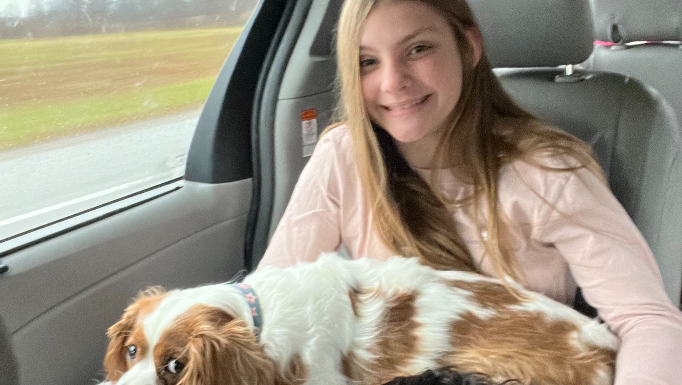 Fundraiser by Carrie Lorimer : Support Bailey's Life-Saving Surgery Costs