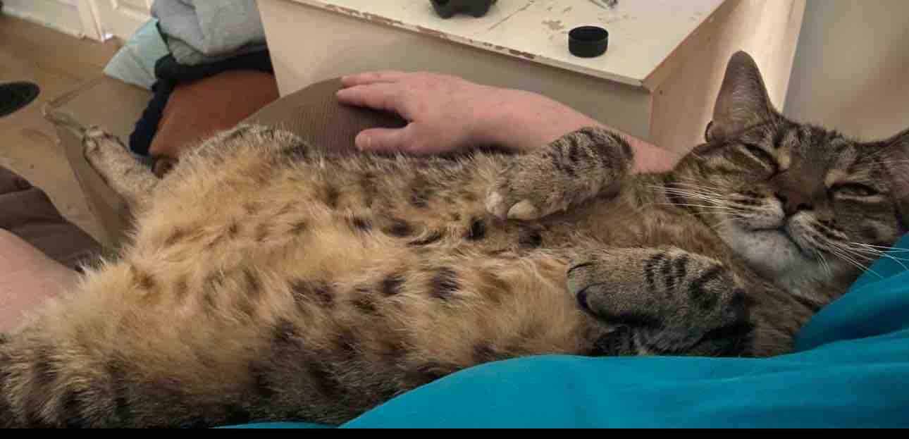 Fundraiser for Jami Connelly by Brittany Connelly : Support Lea’s Help ...