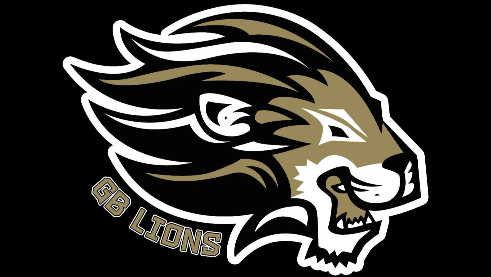 Fundraiser by Adam Gurney : European Masters Cup, Kladno