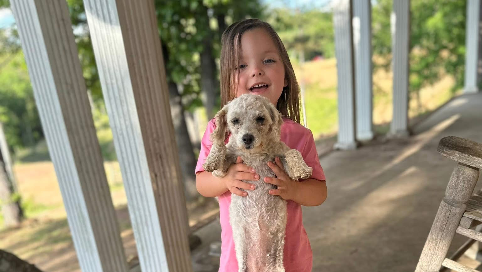 Fundraiser by Bridgett Lemley : Support Birdie Jean's Surgery