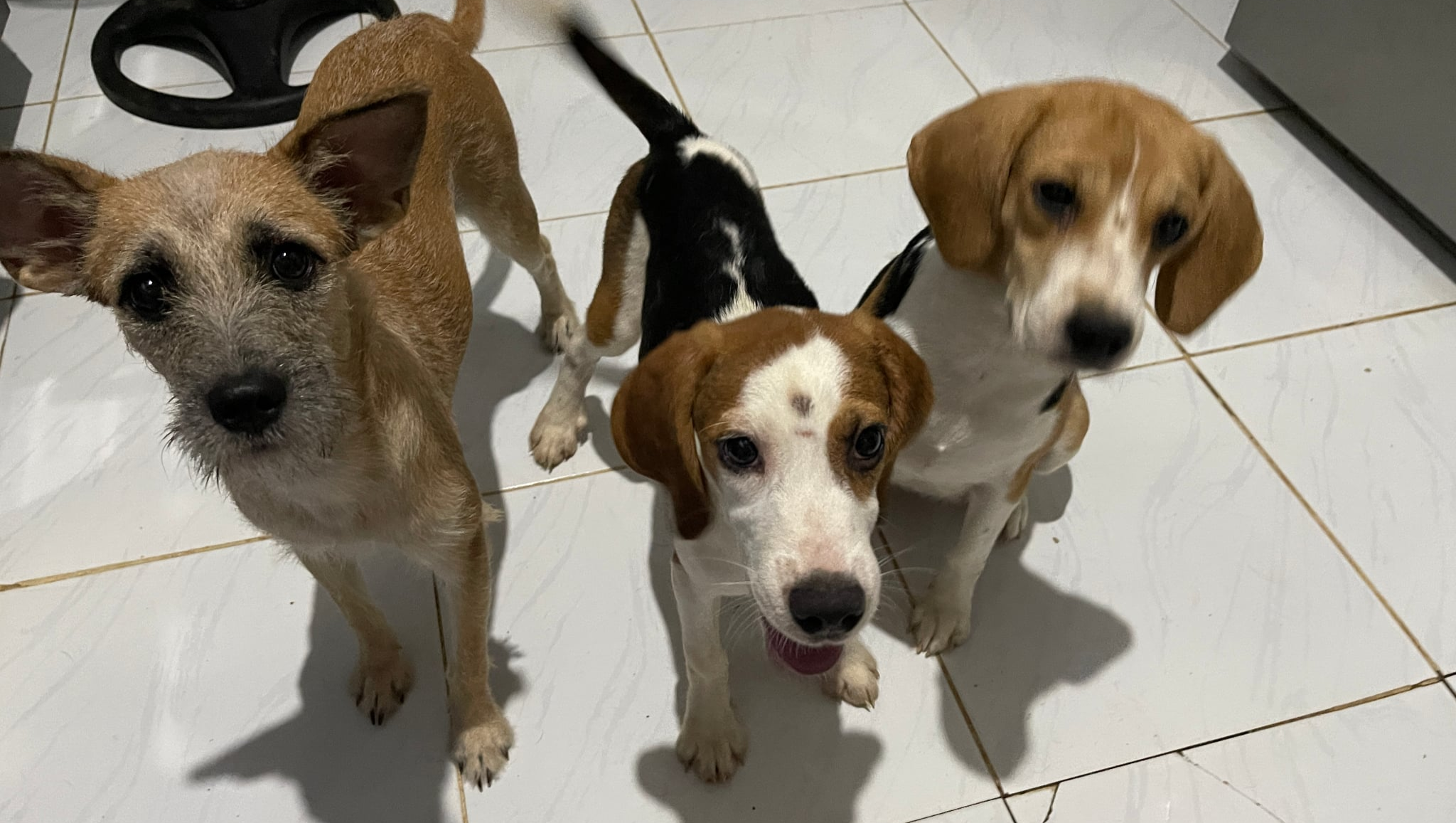 Fundraiser by Ari B : Help for Hiraya House