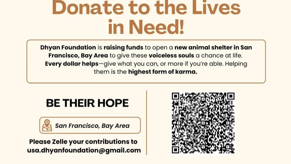 Fundraiser by Dhyan Foundation : Help Dhyan Foundation Rescue Animals