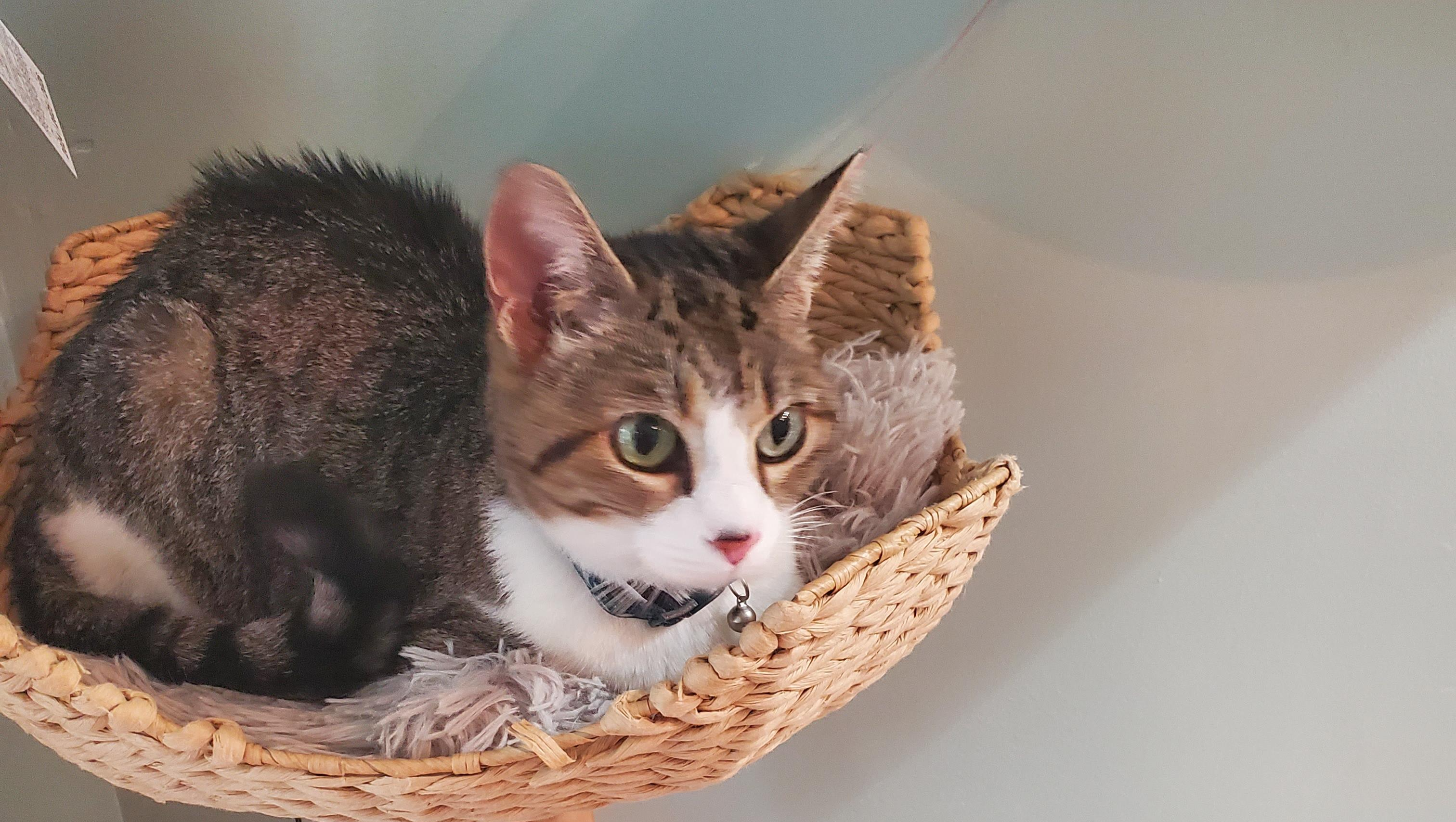 Fundraiser by Justina Gray : Please Help Mary Heal: Support Her Dental ...