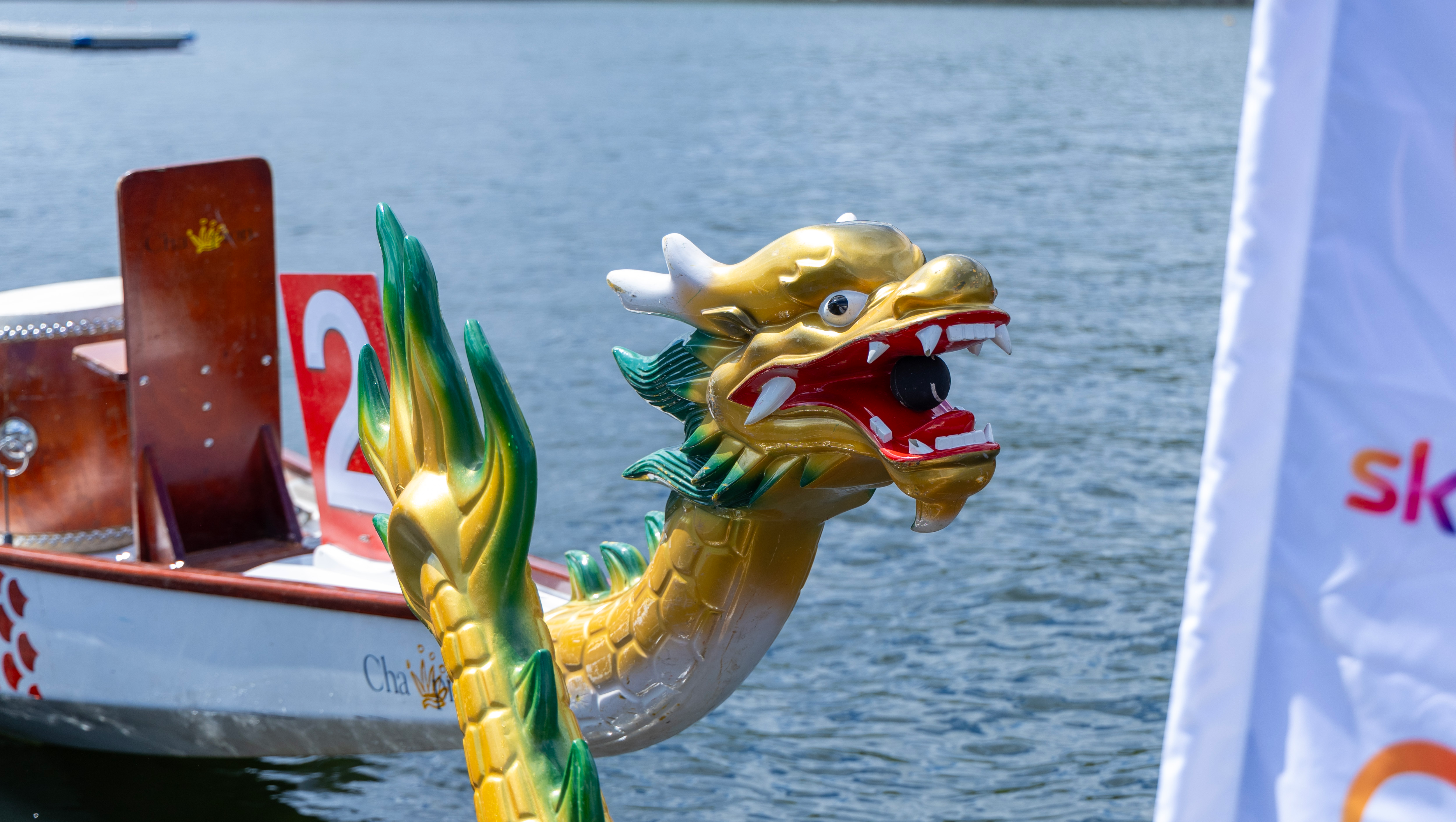 Fundraiser by Maxine Minter : Maxine takes part in the NSPCC Dragon ...