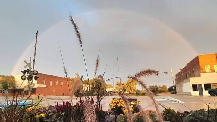 Fundraiser by Chandra Fryer : Legal representation for Michael Scheib