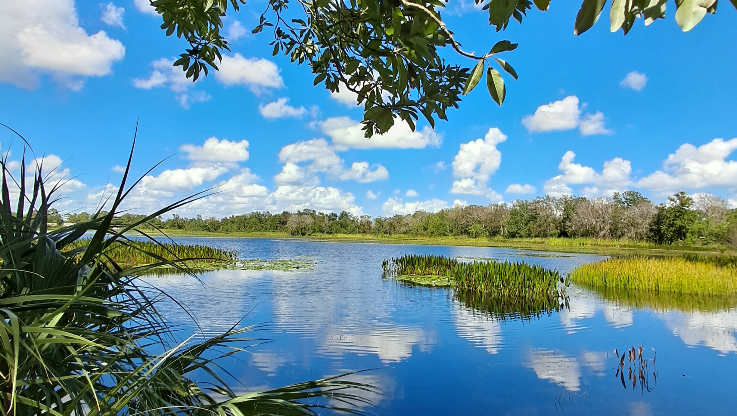 Fundraiser by Emily Reich : Support Emily's Path to Graduation