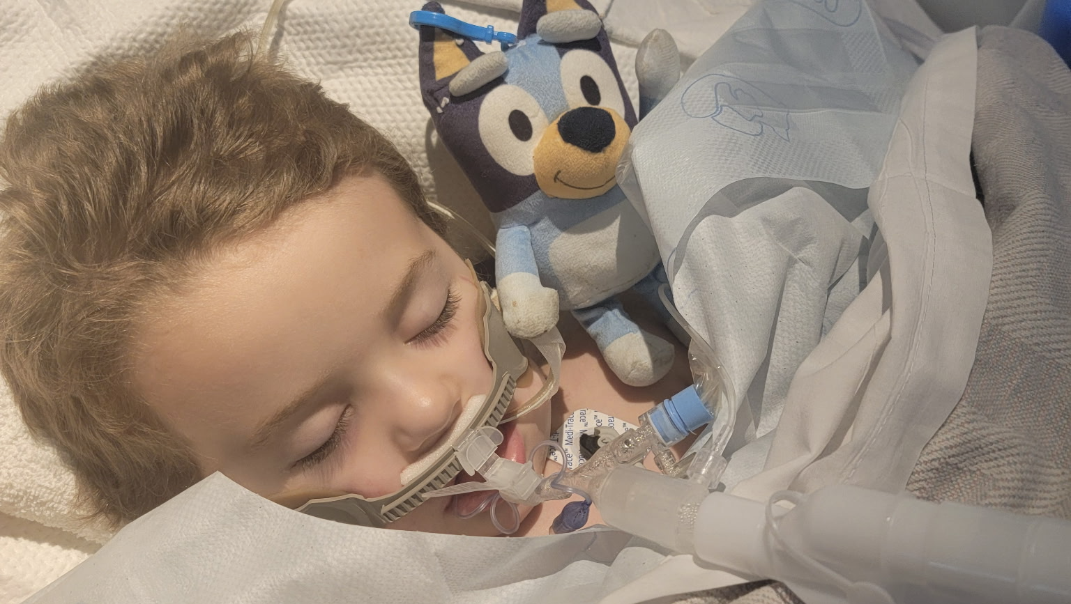 Fundraiser for Chelsea Halliday by Edward Kastor : Support Matthew Halliday's(4 years old) Fight ...