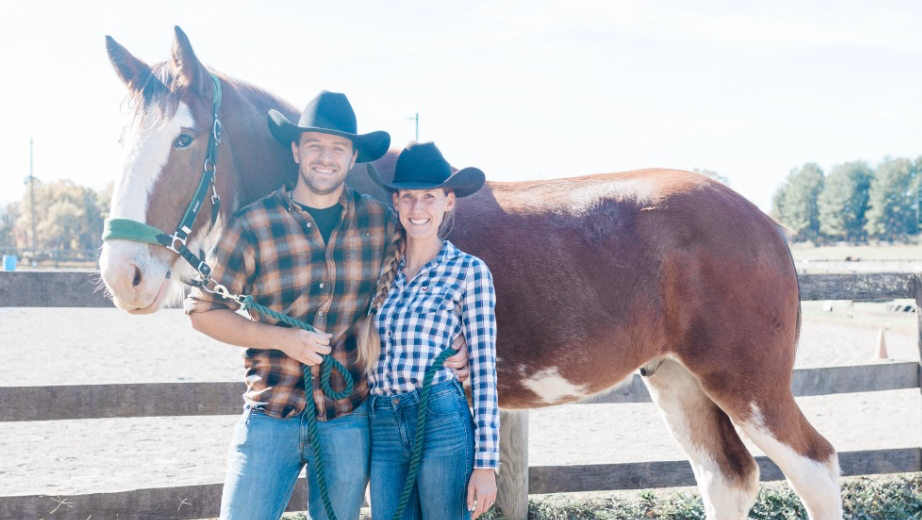 Fundraiser by Nicole Bain : Support Guinness's Surgery and Recovery