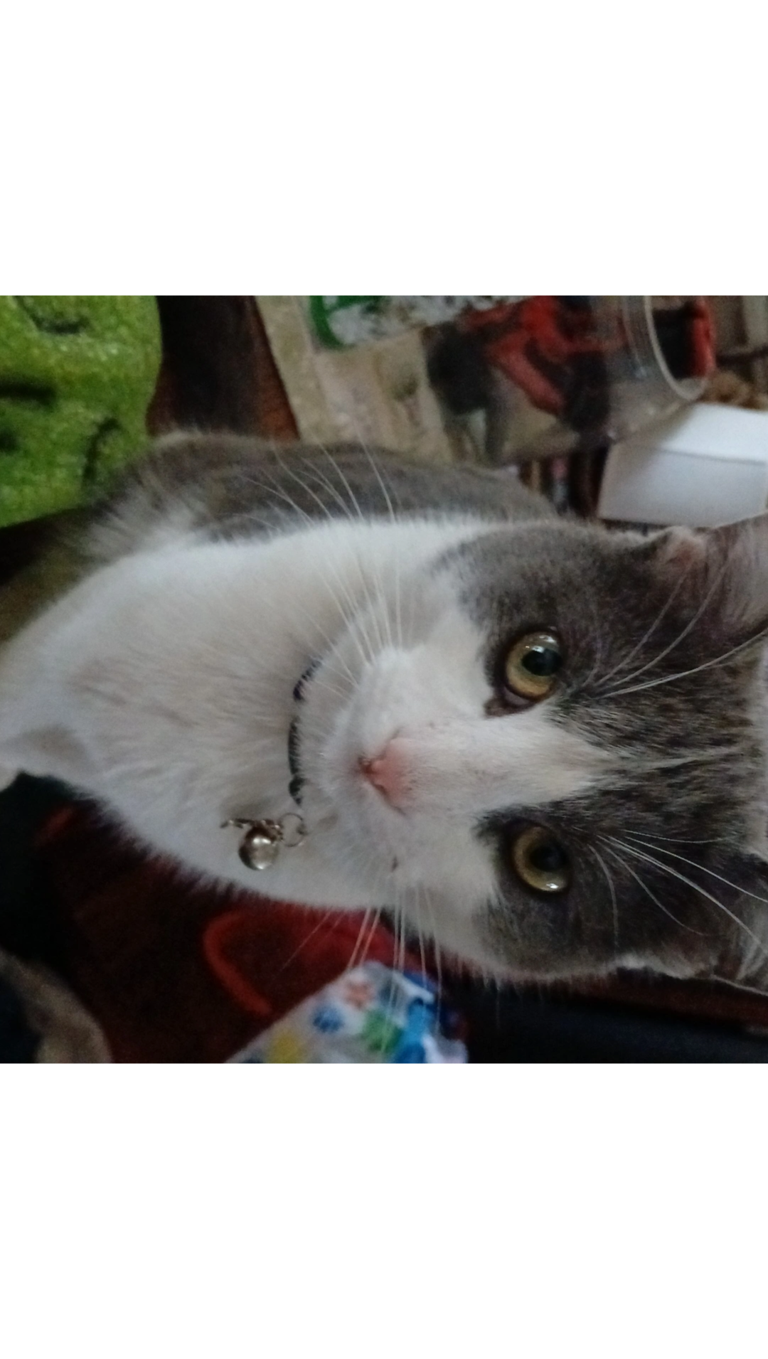 Fundraiser by Trinity Duncan : Mewni's Injury: Family Seeks Your Support