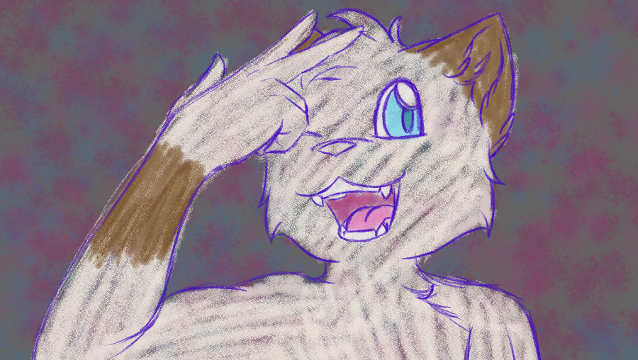 Fundraiser for Kit Cat by metsu metsu : Help Kit Stay Safe and Fed