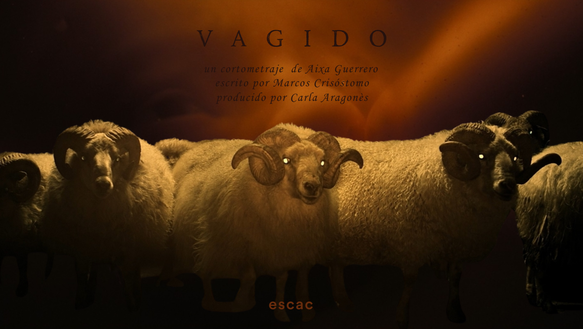 Fundraiser by Aixa Guerrero : VAGIDO