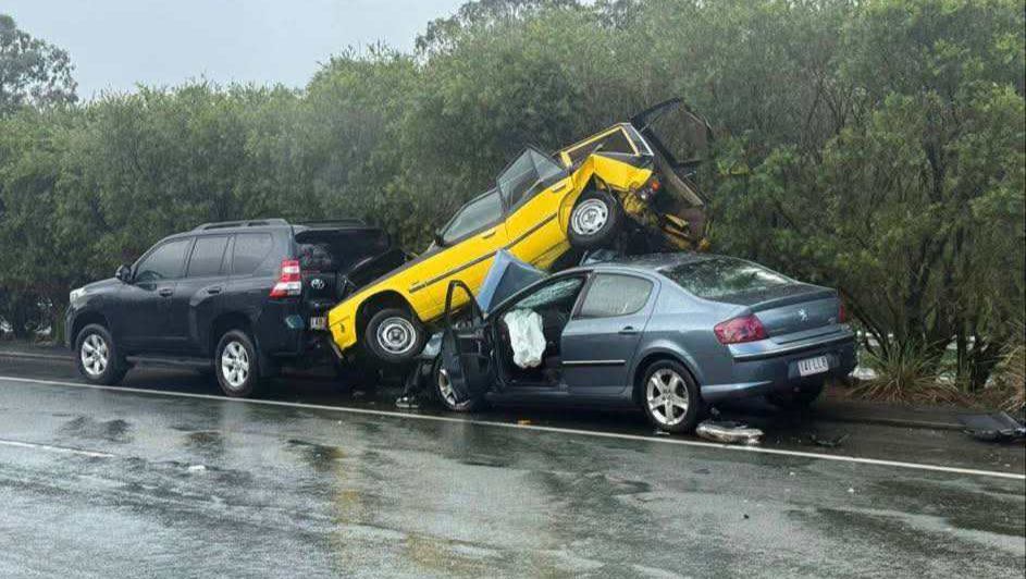 Fundraiser by Scott Sheppard : Bodhi replace his Corona, Insurance won ...