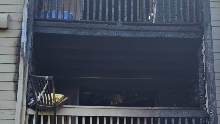 Fundraiser for William Kubalanza by Anna Williams : Will & Sherise ...