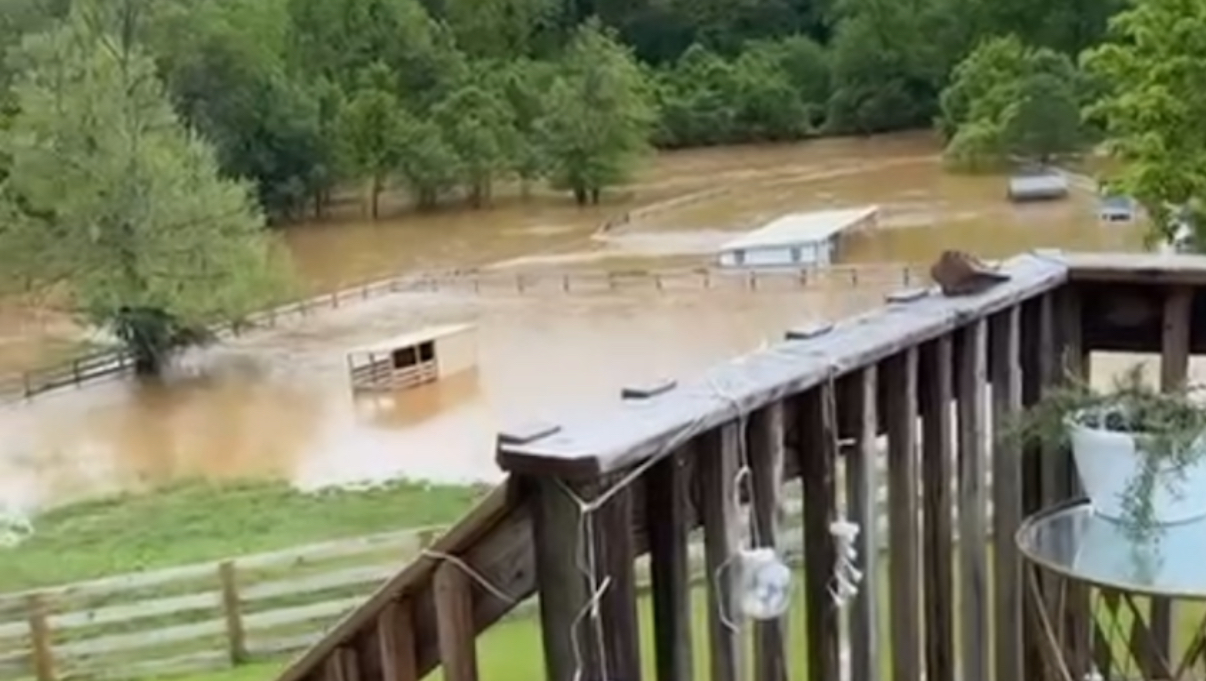 Fundraiser for Francesca Posgai by Hannah C : Francesca's Farm Flood ...