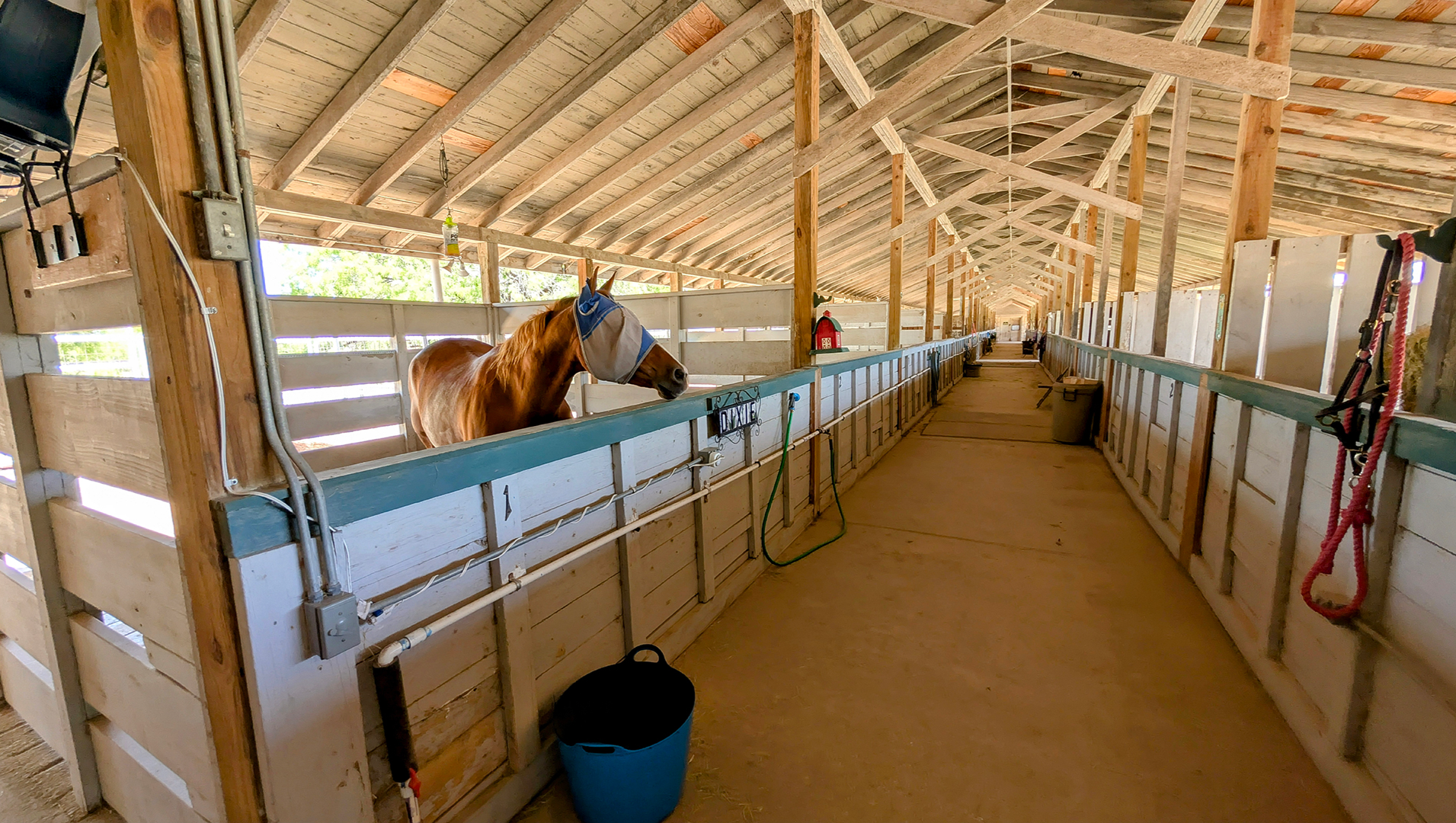 Fundraiser by Fort Clark Stables : Save Fort Clark's Historic Stable!