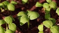 Fundraiser by Stephanie Perley : Help Abby Avoid Homelessness