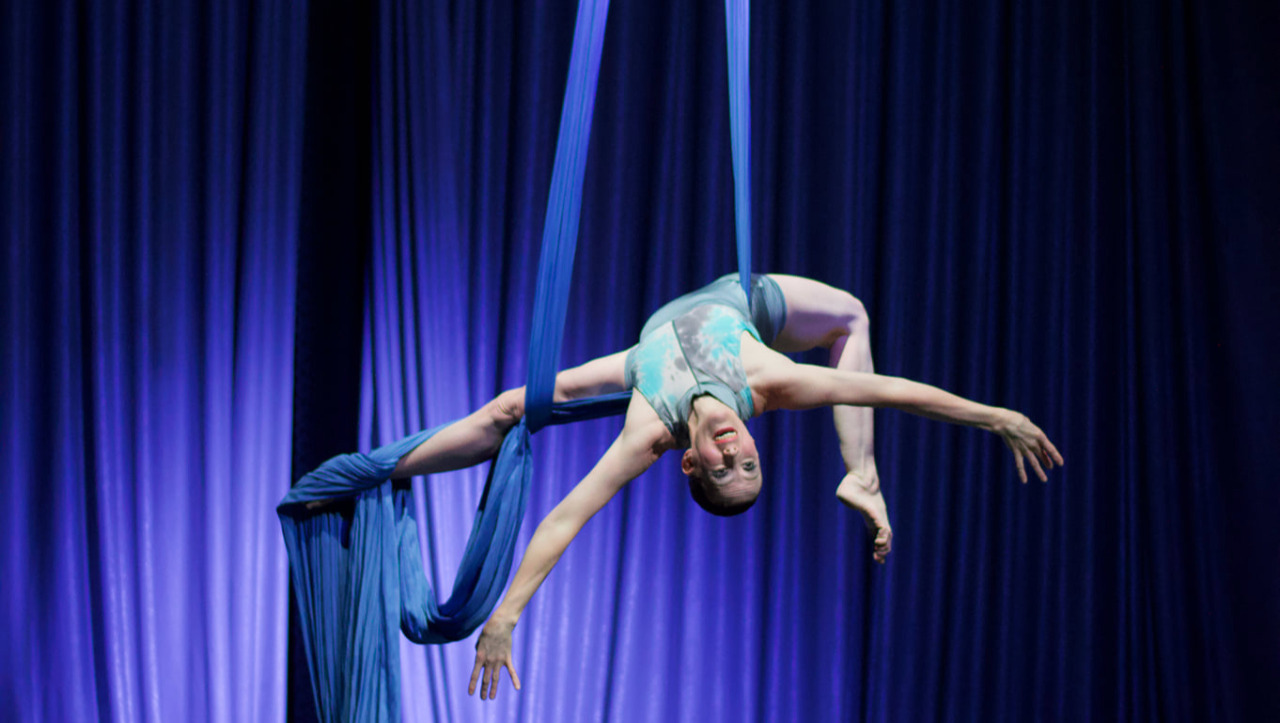 Fundraiser by Fly-by-Night Dance Theater, Inc. : NYC Aerial Dance ...