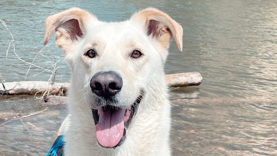 Fundraiser for Taylor Olson by Catherine Roland : Help Marley ...