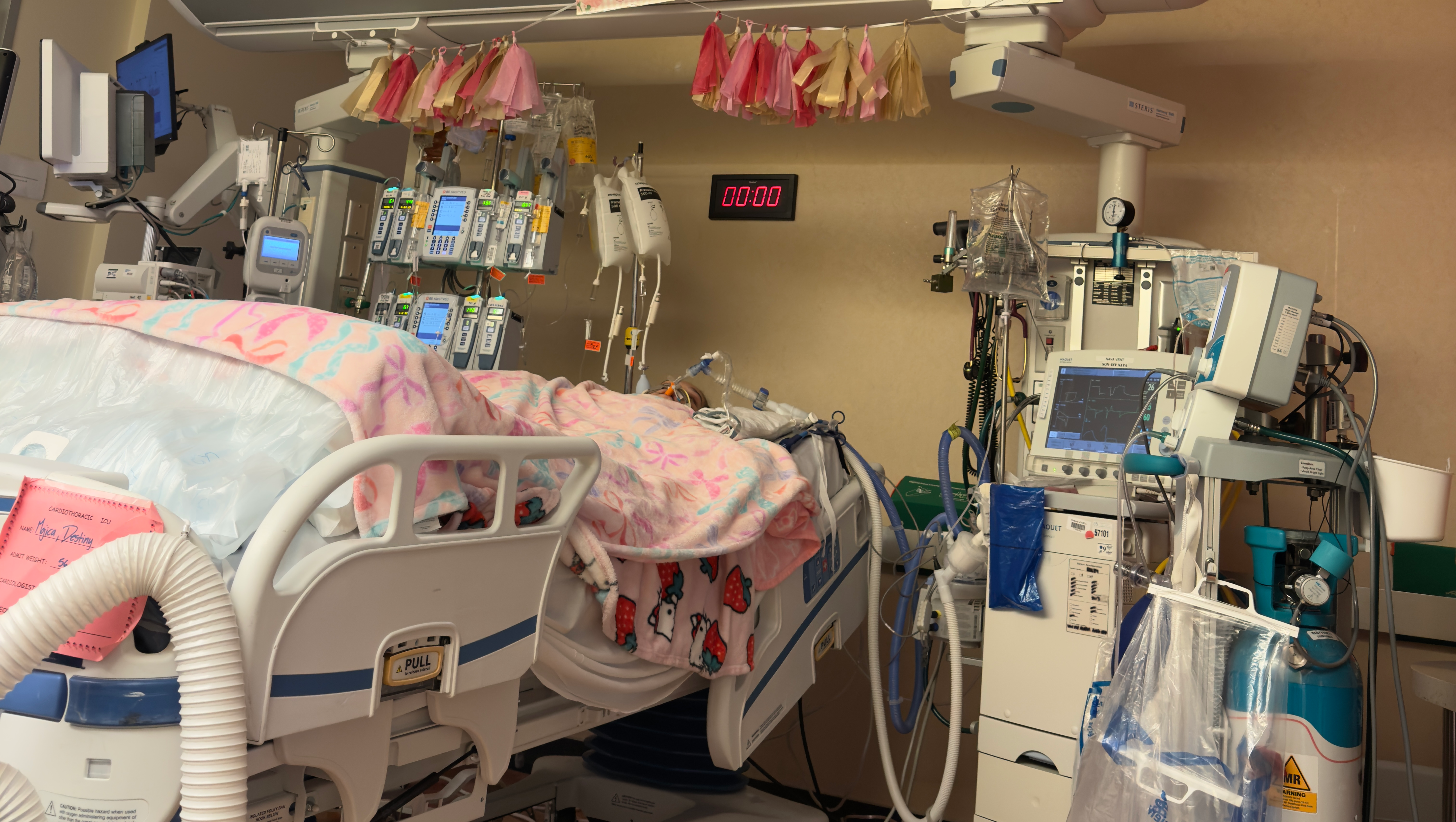 Fundraiser by Yesenia Mojica : Support Destiny’s Final Farewell