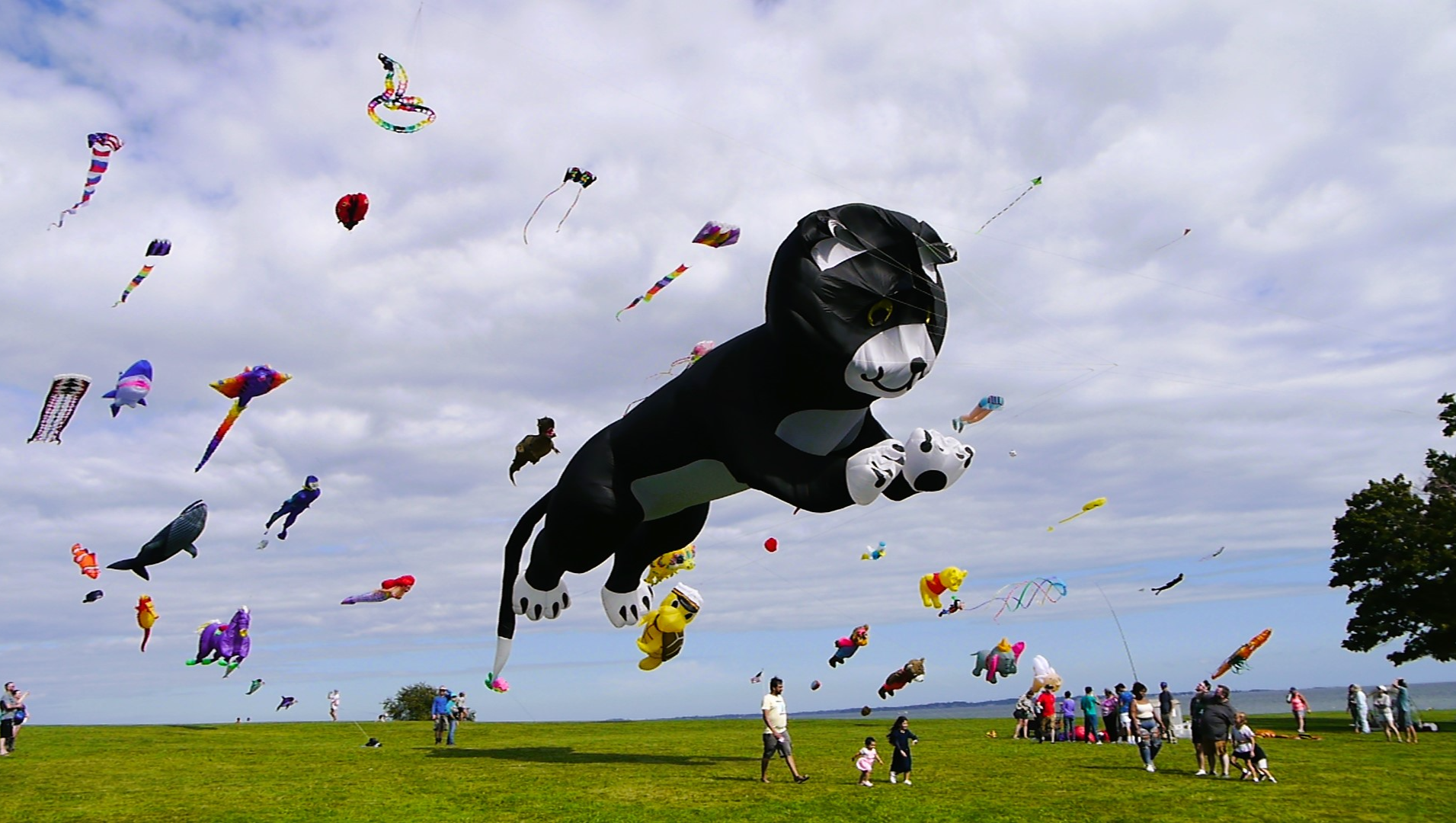 Fundraiser by Donna Slaga : Donate to John Rose and his Kite-Flying ...