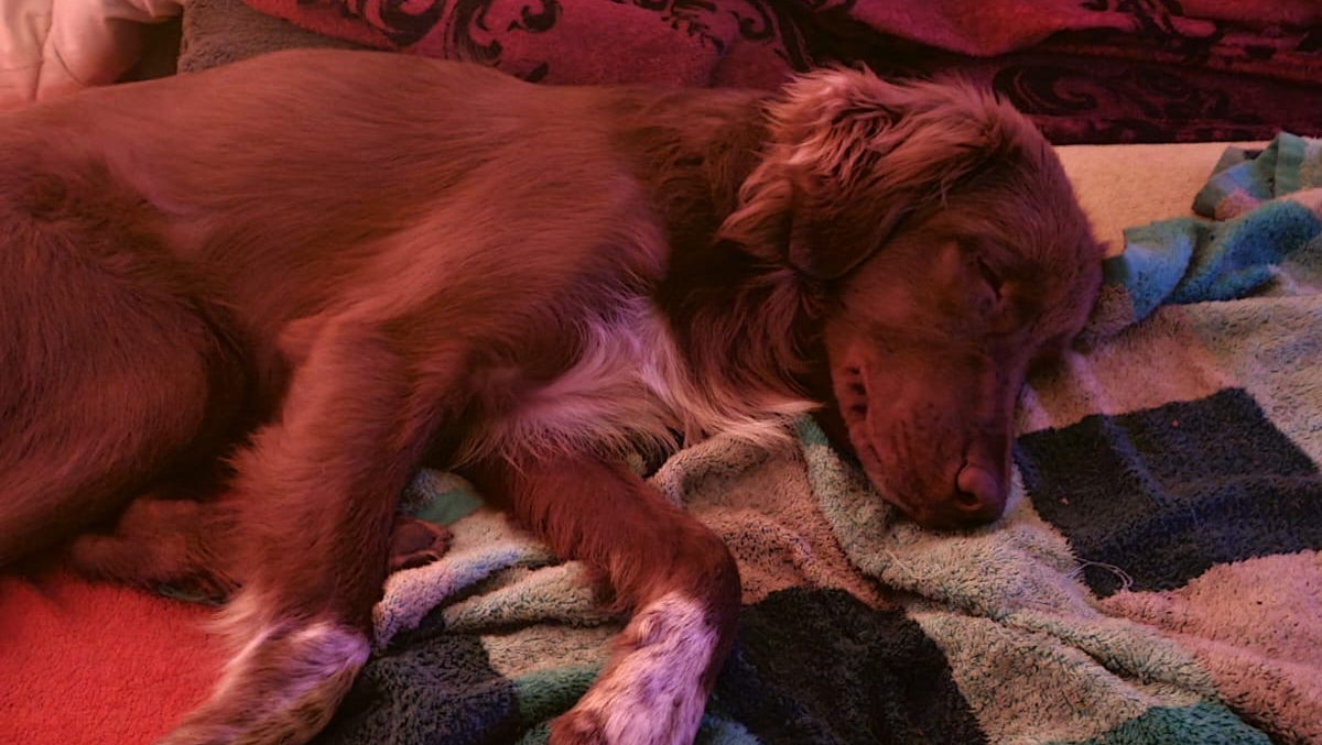 Fundraiser by laura rahn : Hilfe für meinen Uwe,damit er wieder richtig ...