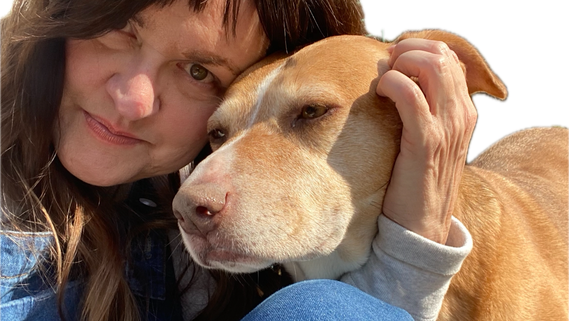 Fundraiser for Isobel Spicer by Jenna Levy : Help Moe Heal: Vet Bills ...