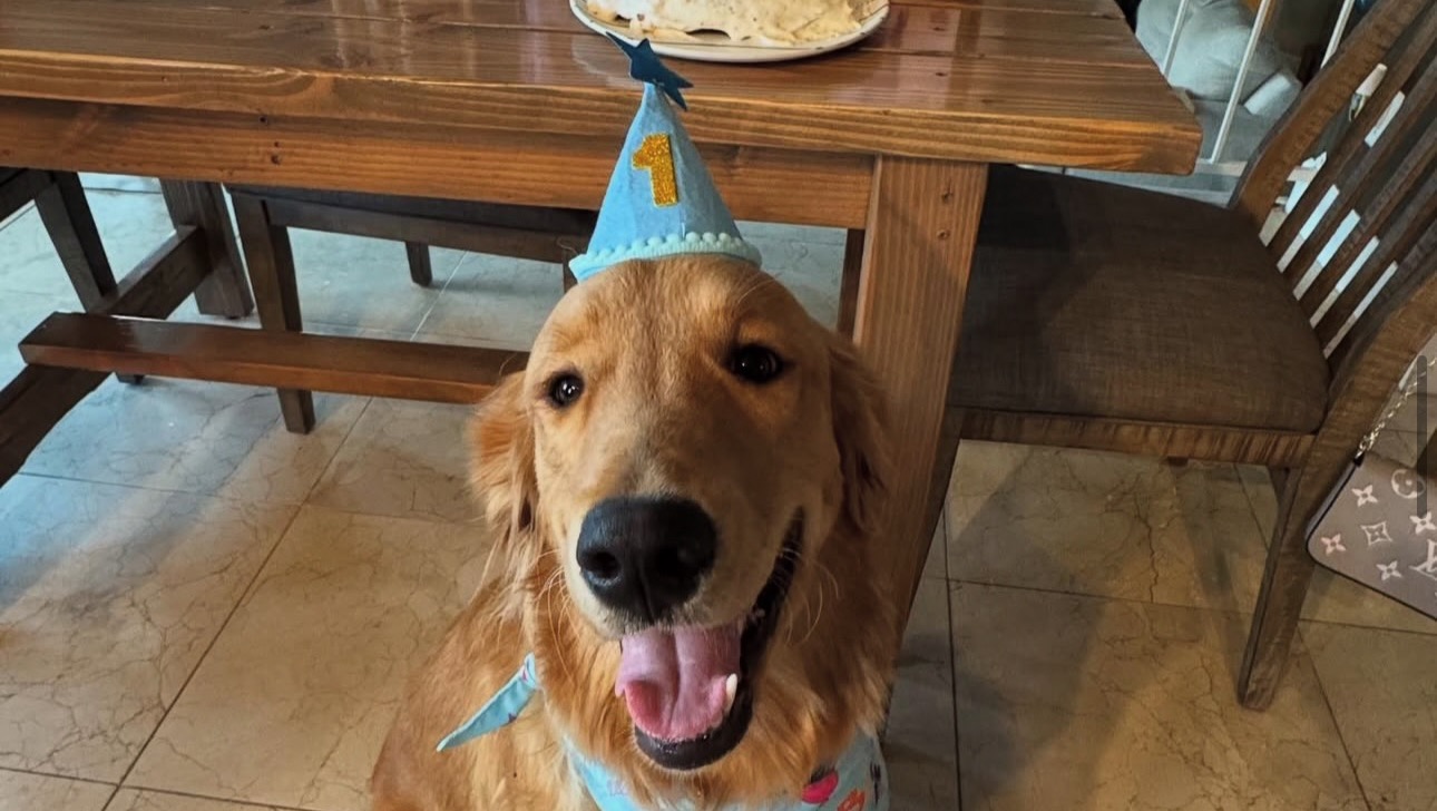 Fundraiser for Lindsay Butterfield by Emera Greig : Lindsey's Family ...