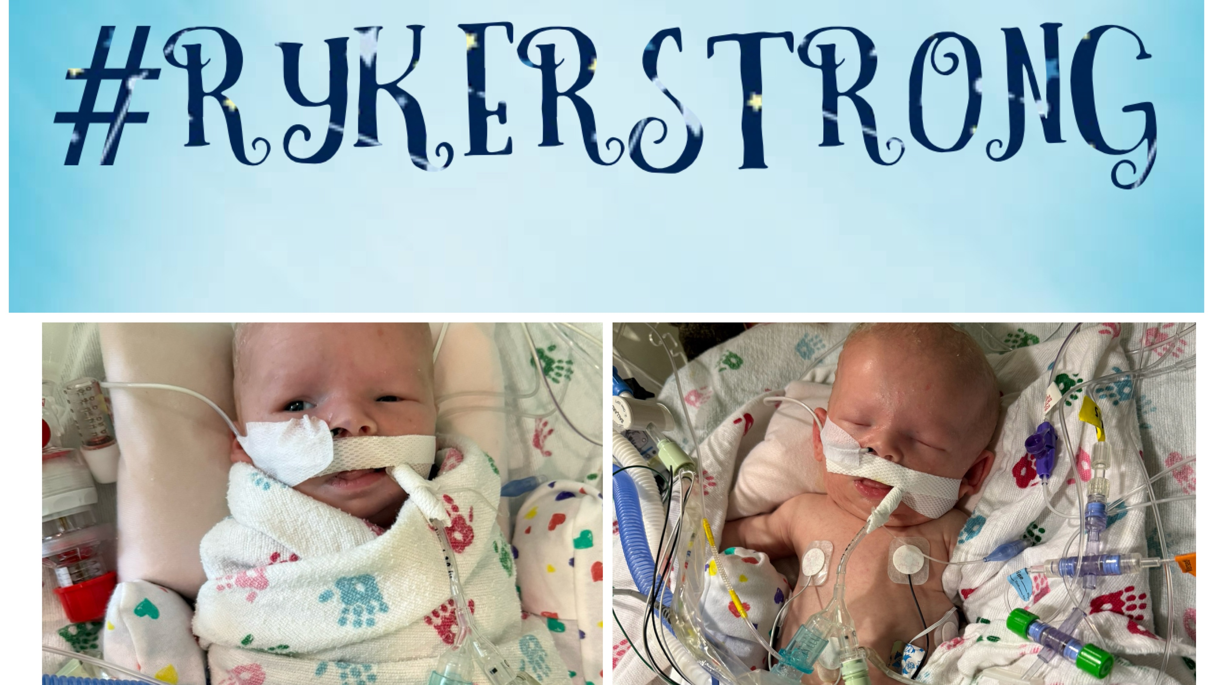 Fundraiser for Elizabeth Gruber by Nancy Foster : Rally for Ryker: Help ...