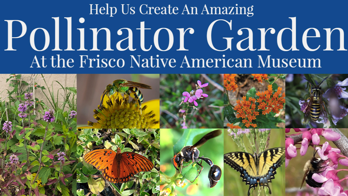 Fundraiser by Amber Roth : Support Frisco Museum's Pollinator Garden ...