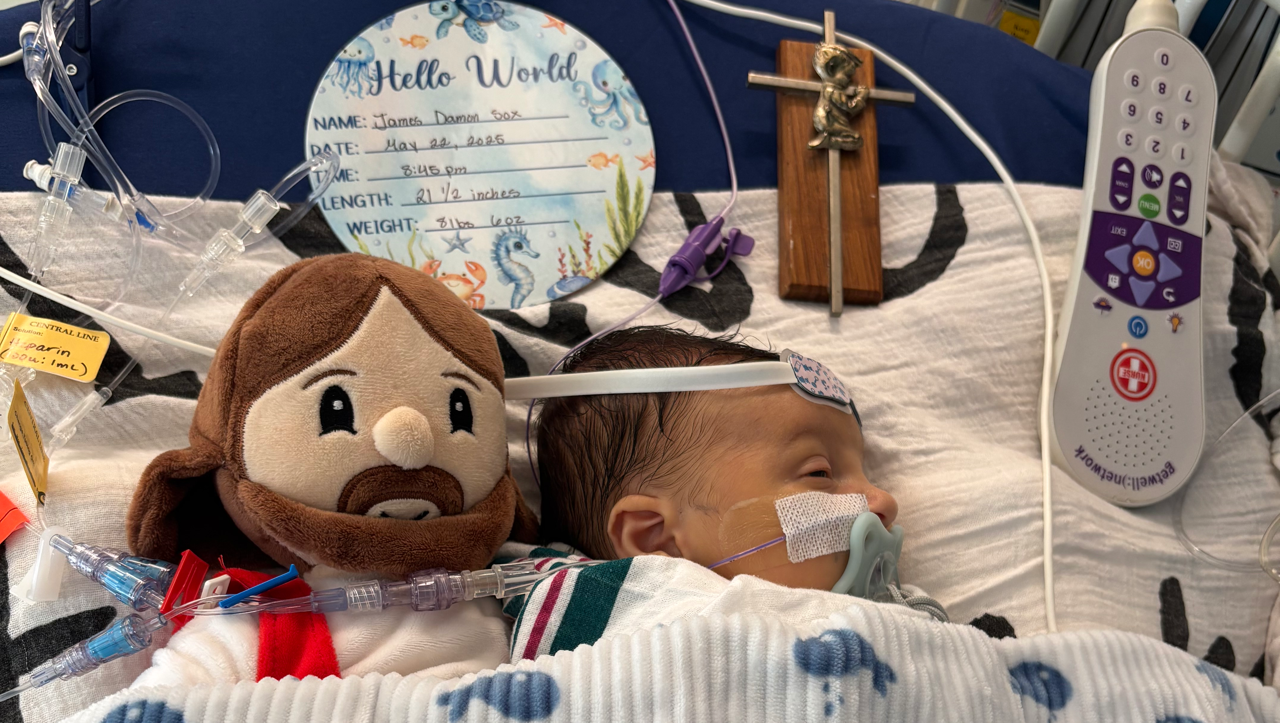 Fundraiser by Gabby Coombs : Help JD's Heart: Support Kacia & Striker