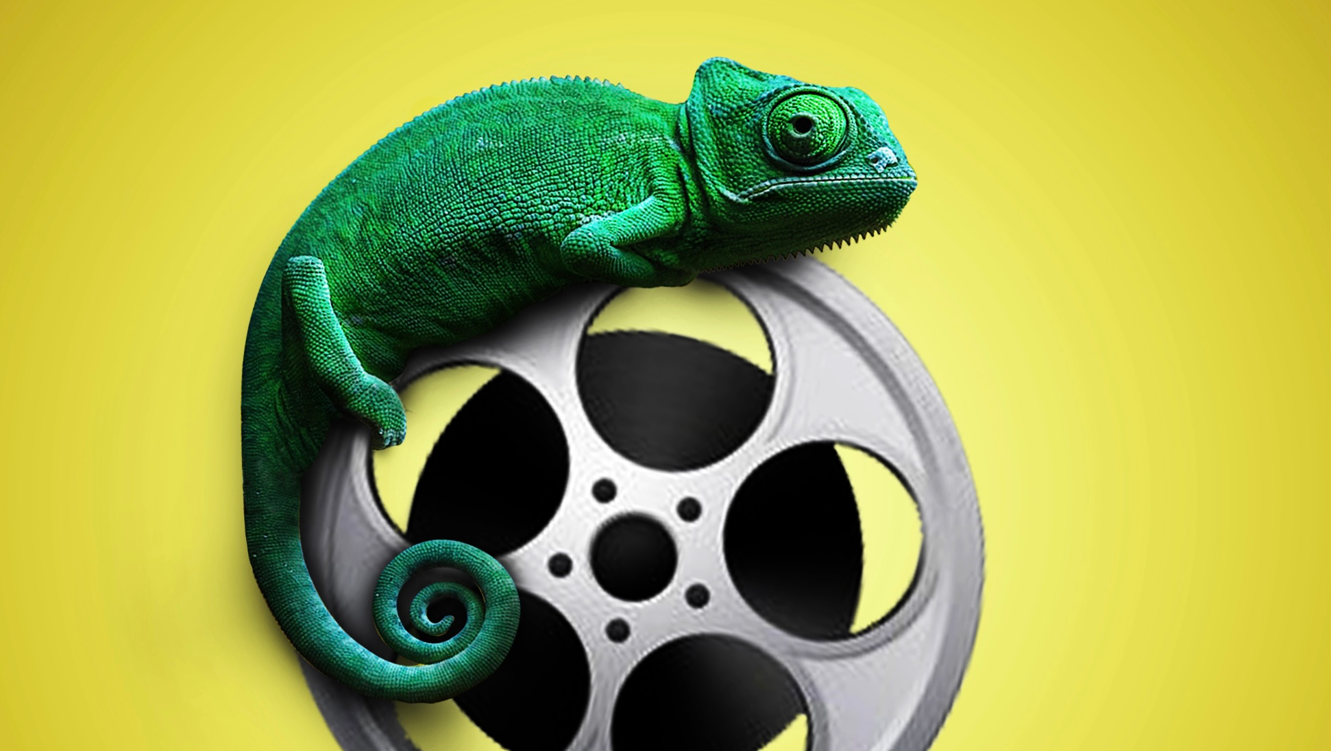 Fundraiser by Daisy Villegas : Help Daisy & Joey Stage Chameleon
