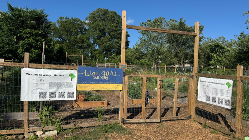 Fundraiser for Michael Silliman by Sarah Flinspach : Support Wangari ...