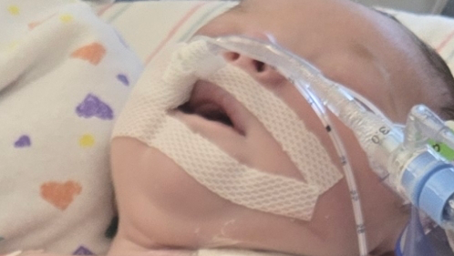 Fundraiser for Justin Grant by Ashley Prusinski : Donate to Baby Jace ...