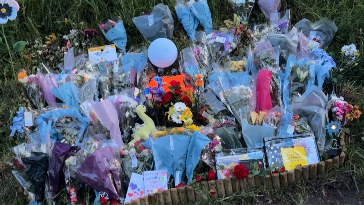 Fundraiser for Sharon Hobbs by Lee Hobbs : Save Connor’s pride and joy ...