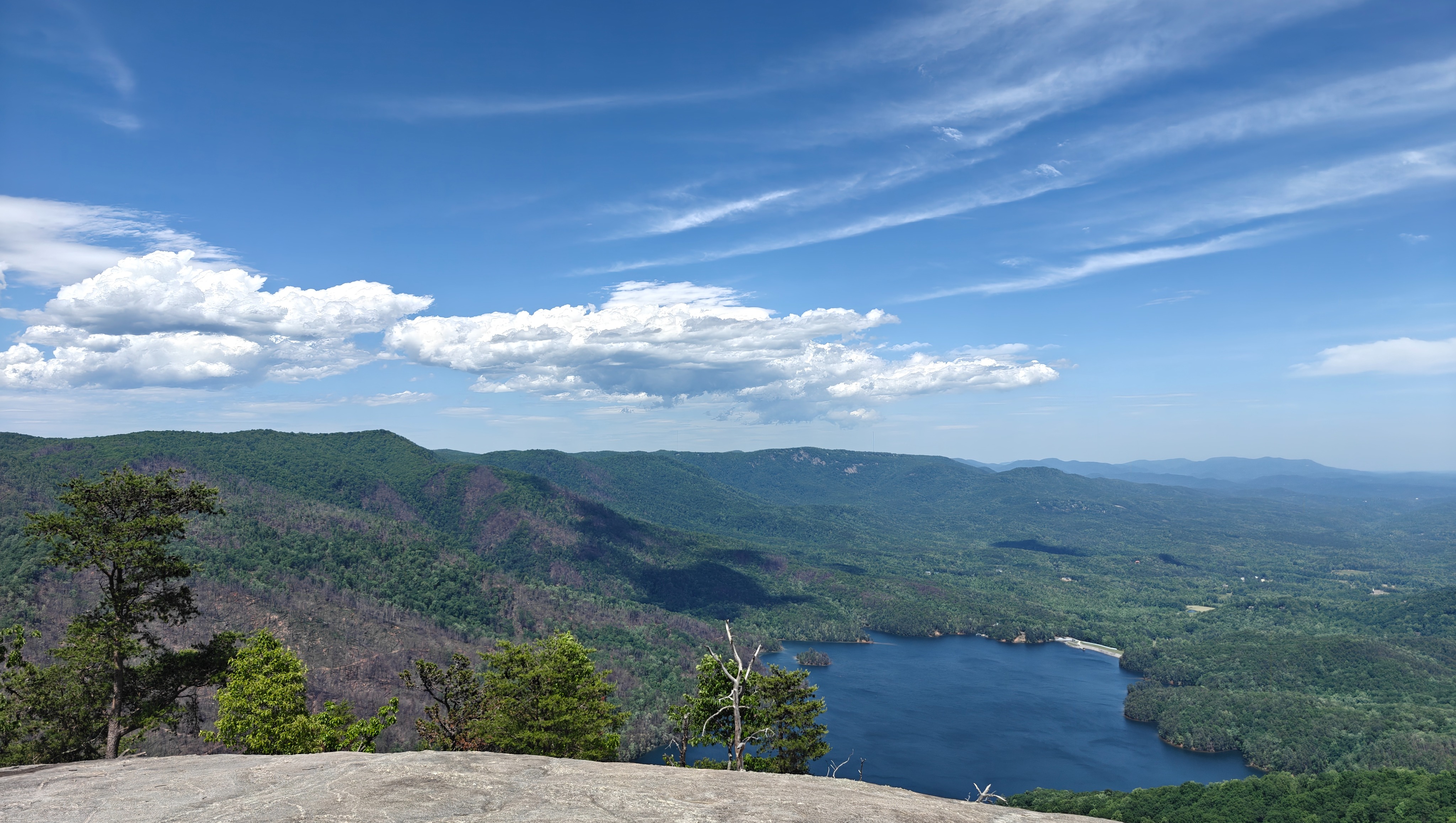 Fundraiser for Angela Franklin by Takuya Shimamura : Help Angela ...